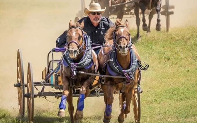 Chuckwagon Racing added to Greenville Farm Power of the Past schedule ...