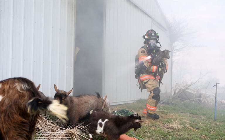 Arcanum barn fire claims lives of several goats | My County Link