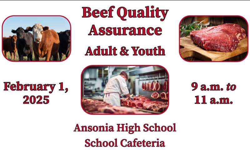 Register now for a Beef Quality Assurance Certification event to be ...