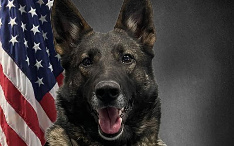 Eaton Police K9 retires after 5 years of service | My County Link