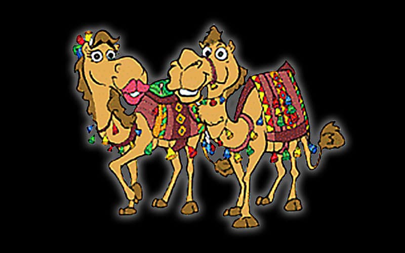 Stelvideo Christian Church to host 'Camel Adventures' VBS | My County Link