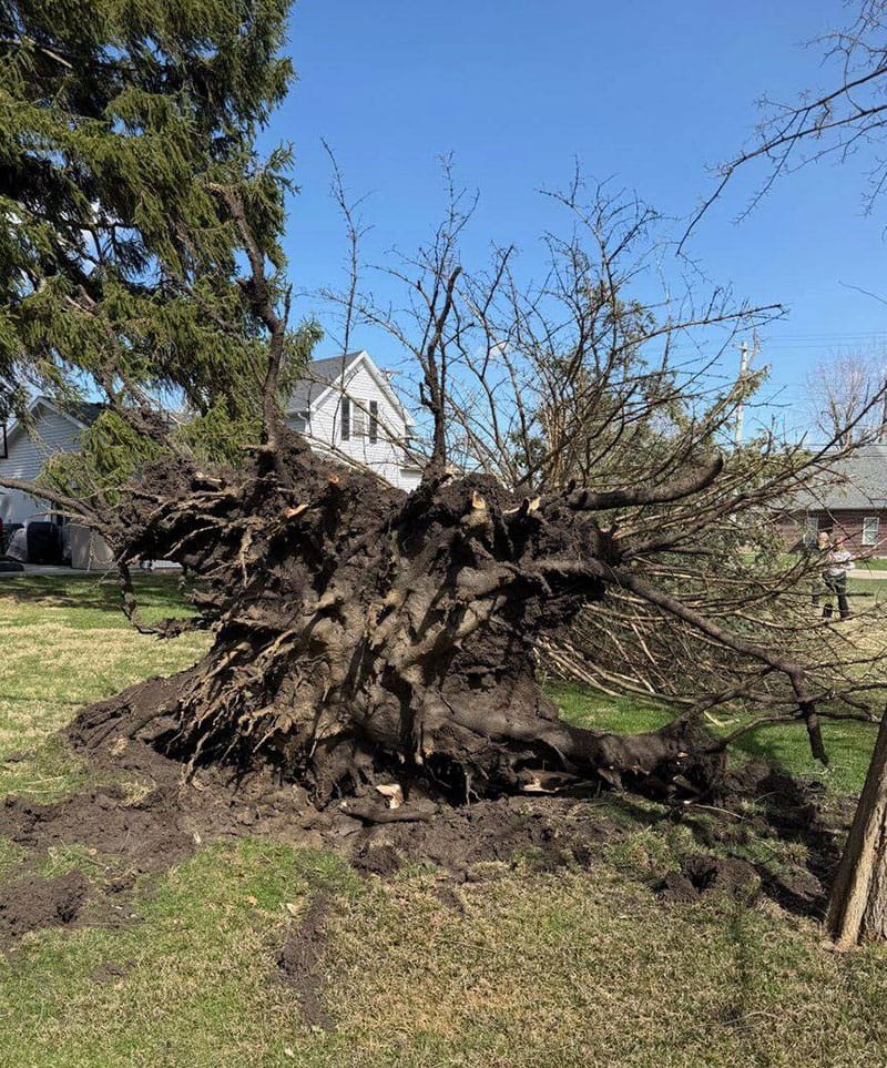Clean up continues following Friday's wind damage aftermath | My County ...