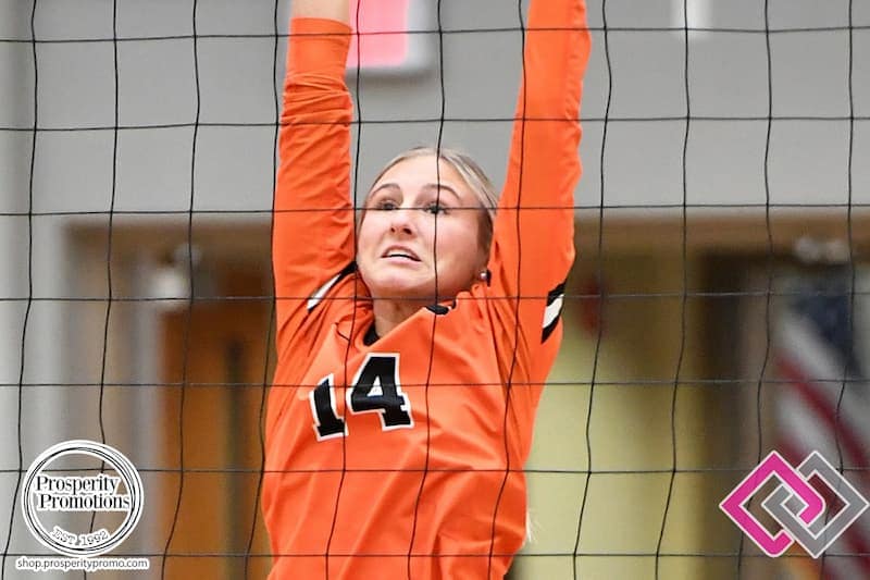 Ansonia Volleyball falls to Anna | My County Link