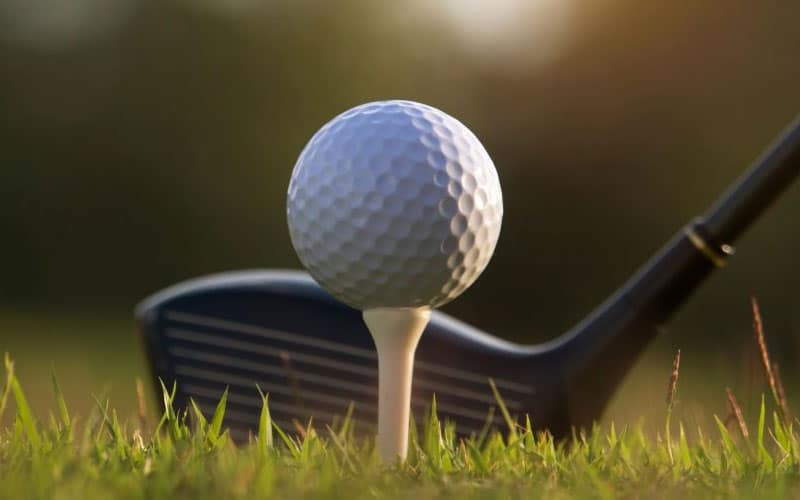 Greenville Golf Teams Set Informational Meeting | My County Link