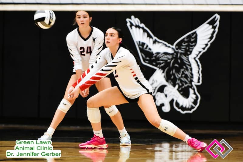 Lady Hawks volleyball downs Dixie | My County Link