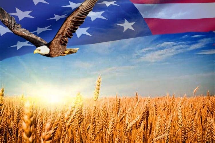 Celebrating July 4th and Nature: A Symbiotic Relationship! | My County Link