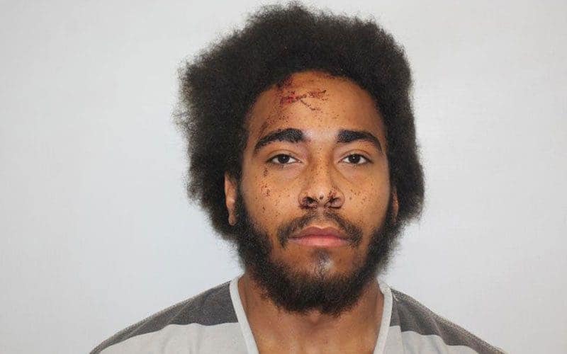 Bell pleads guilty to strangulation of his mom | My County Link