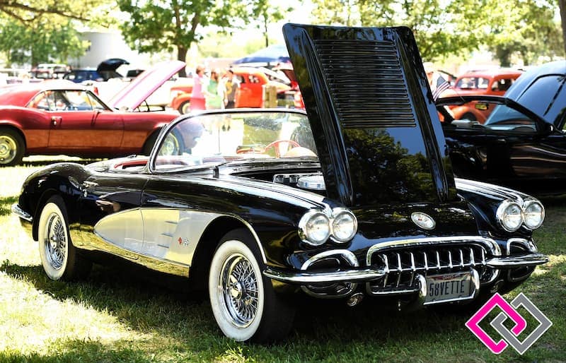 Rolling 50's Classics Father's Day Spectacular welcomes large turnout ...